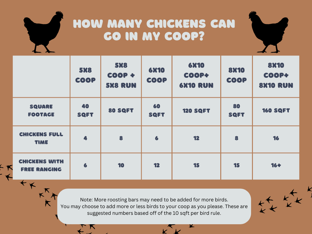 Suggested Coop to Chicken Ratios – Mellott Chicken Coops